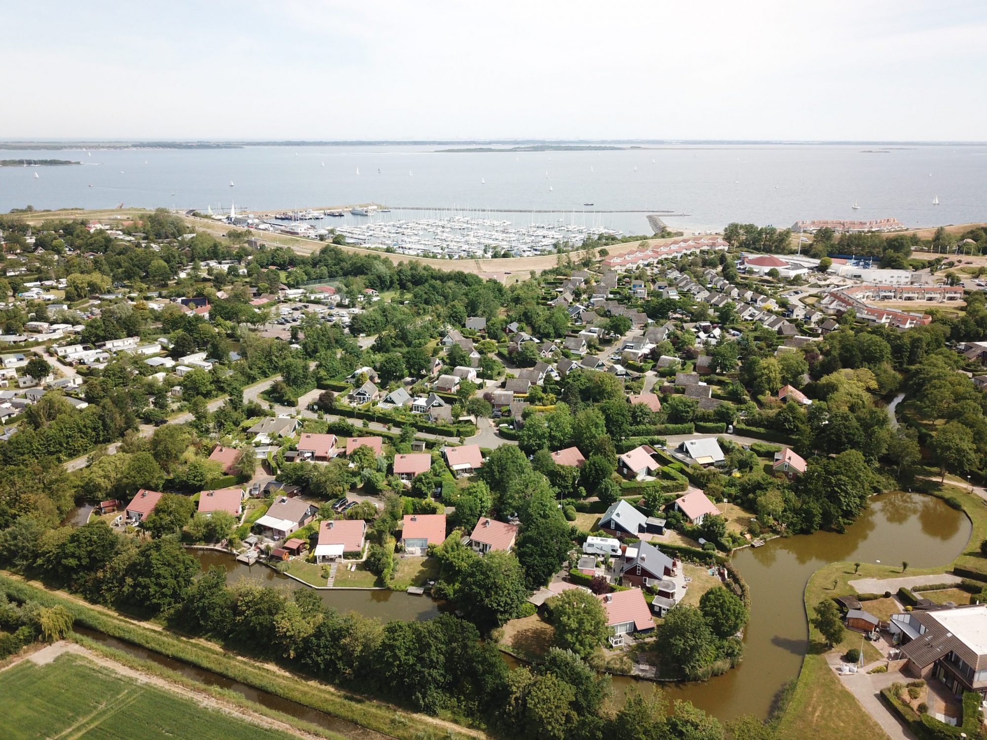 Zomerdorp Grevelingen - Silverfish